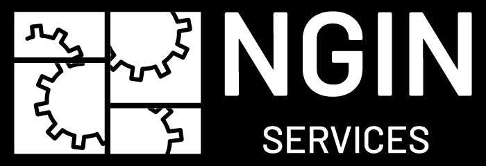 Ngin Logo